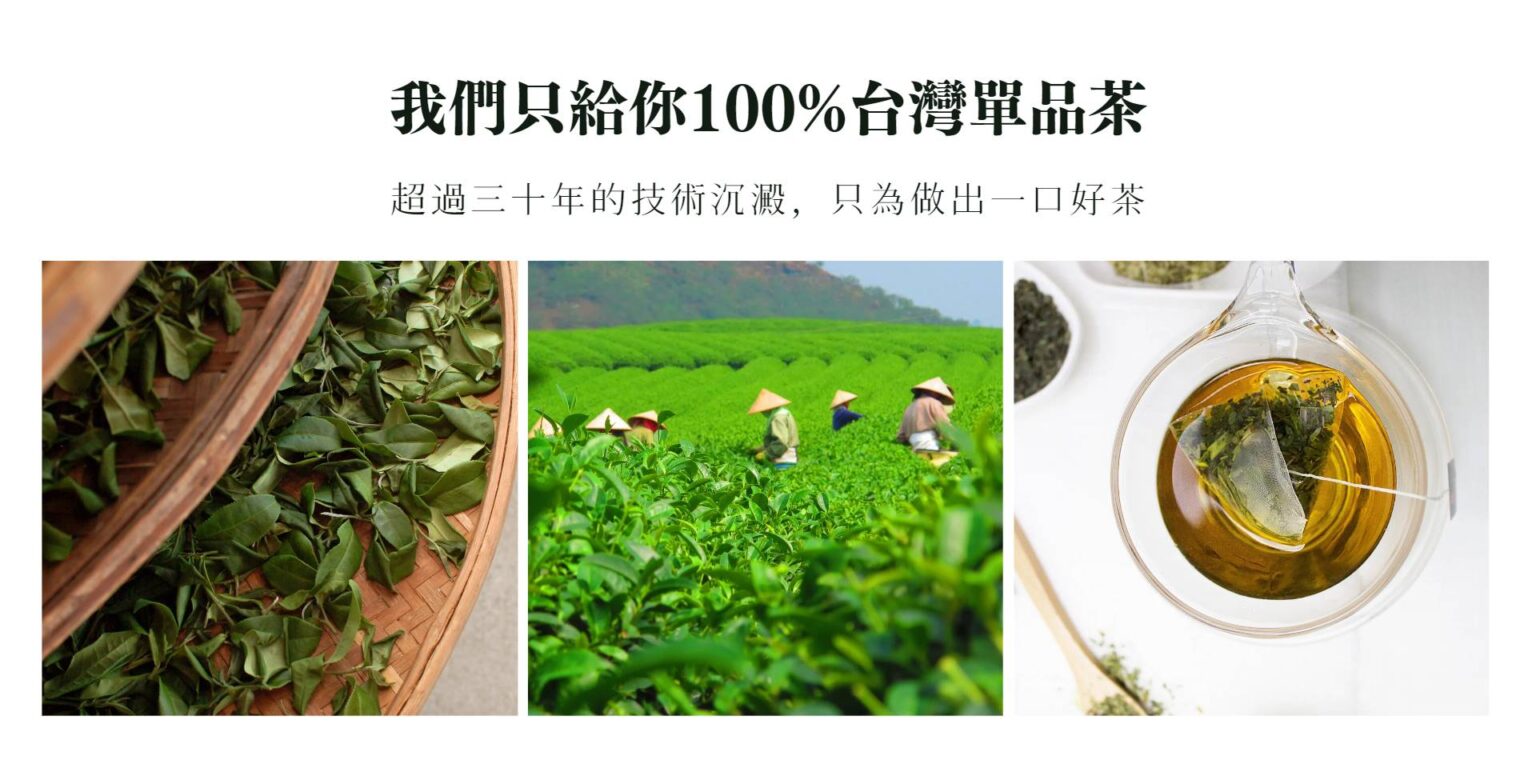 高山烏龍平面茶包4袋組 - La Chummy 樂茶米 | 烏龍茶專賣